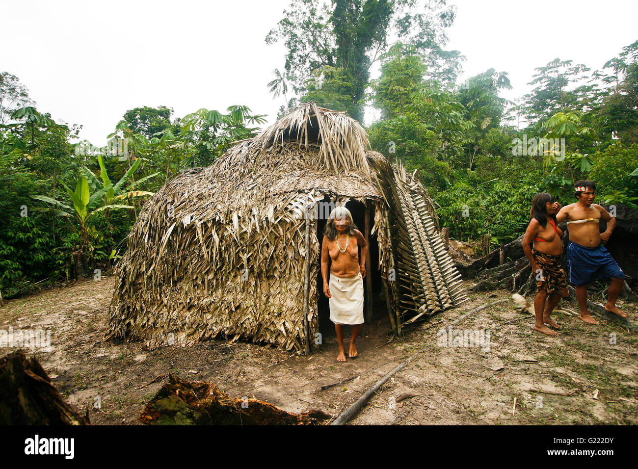 Indigenous women amazon hi-res stock photography and images - Alamy