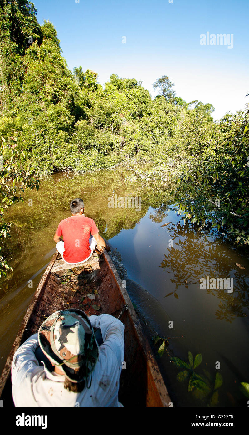 Matsés Indigenous Reserve. Inundated forest. Amazon. Peru Stock Photo ...