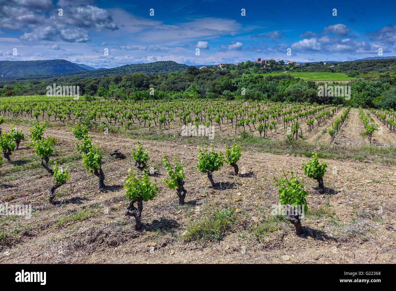 Languedoc france village countryside hi-res stock photography and ...