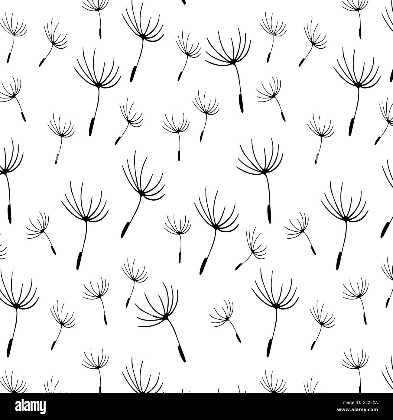 Blowing dandelion seeds Black and White Stock Photos & Images - Alamy