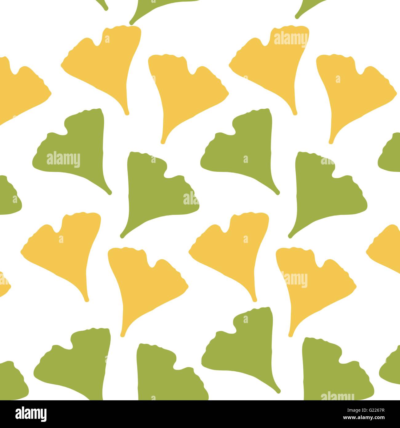 Ginkgo biloba pattern Stock Vector Image & Art - Alamy