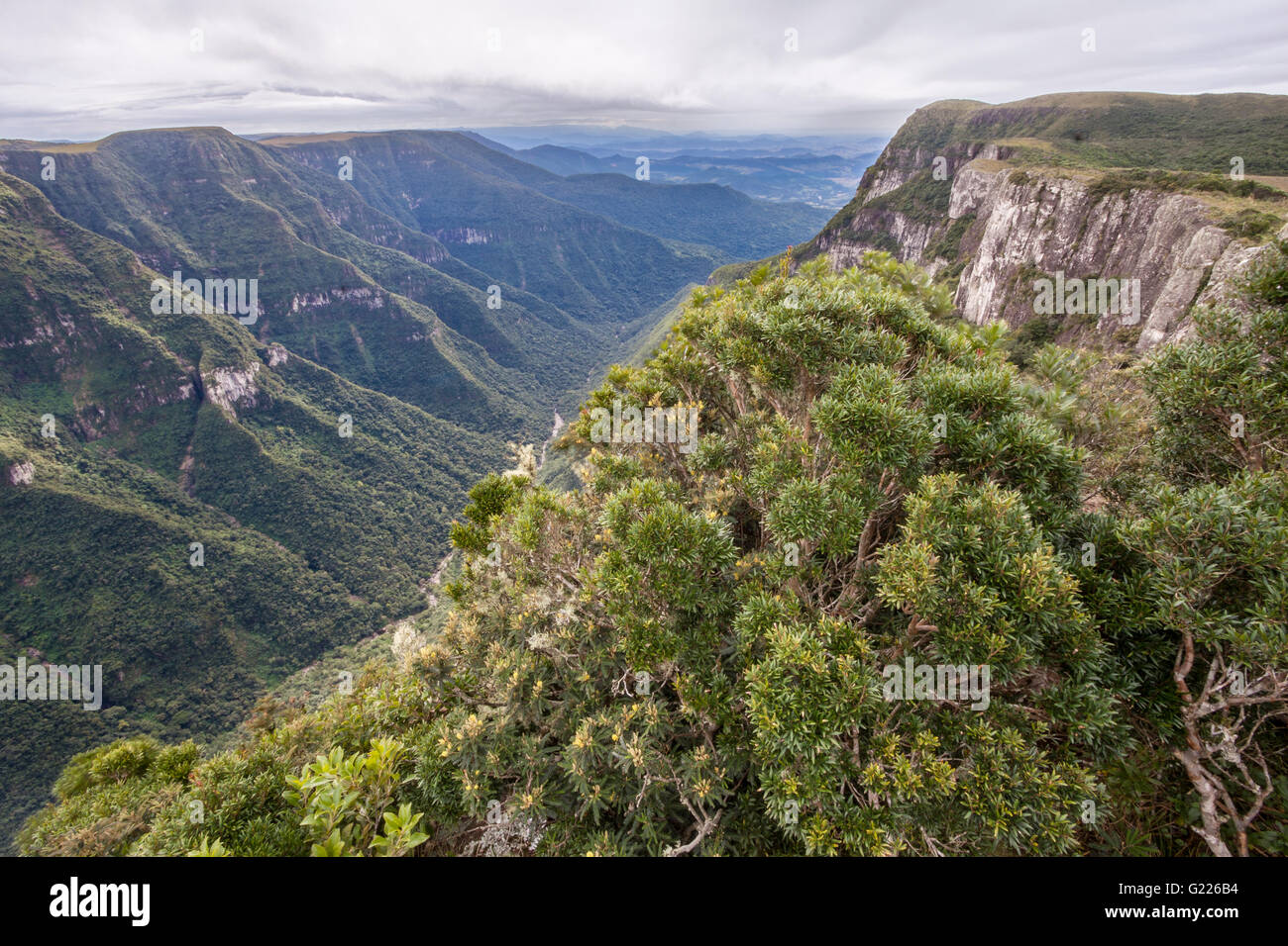 Fortaleza Canyon, Rio Grande do Sul, Brazil Stock Photo - Alamy Fortaleza Canyon, Rio Grande do Sul, Brazil Stock Photo - Alamy