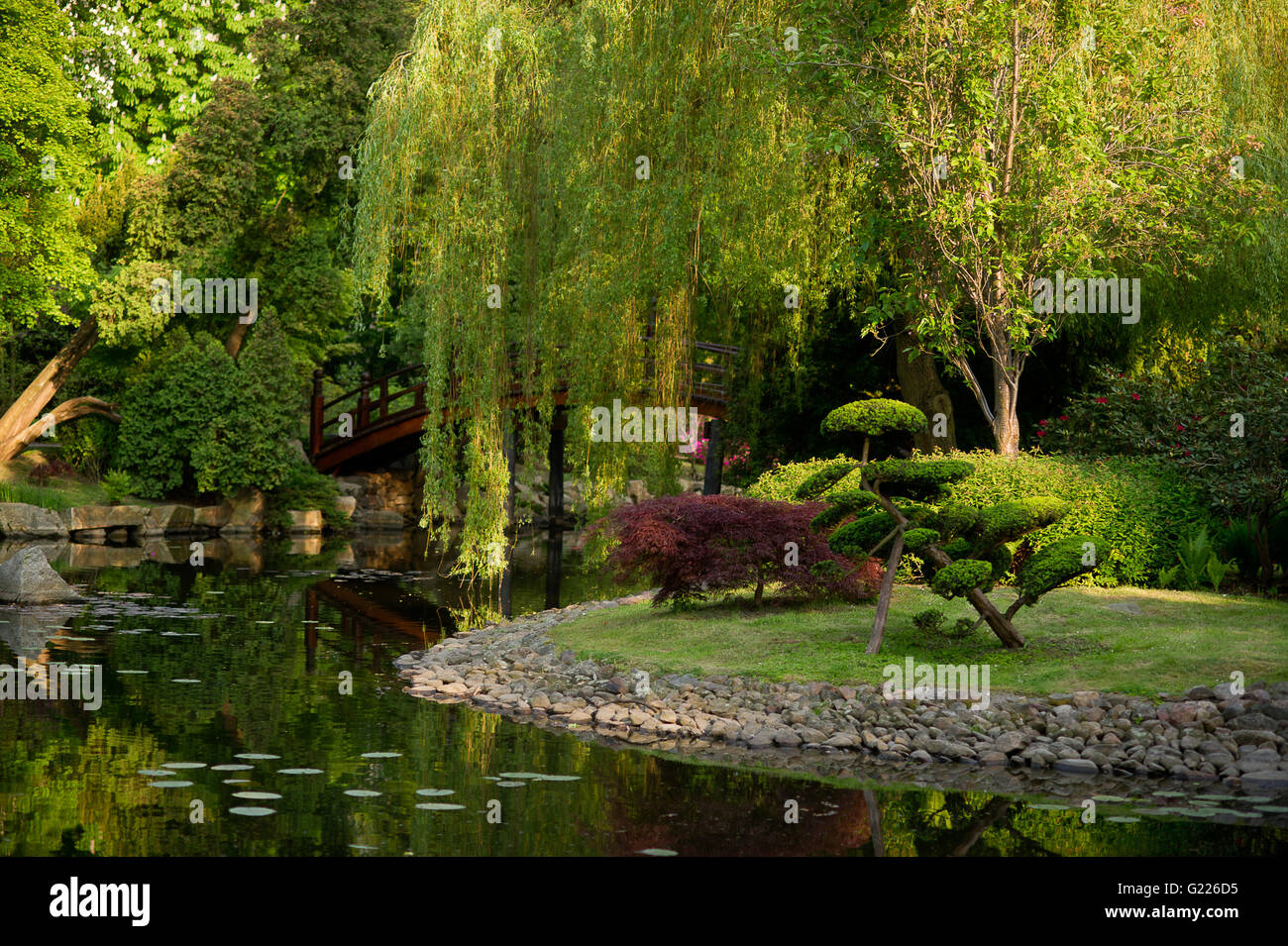 Beautiful corner of a Japanese garden in Wroclaw Stock Photo - Alamy