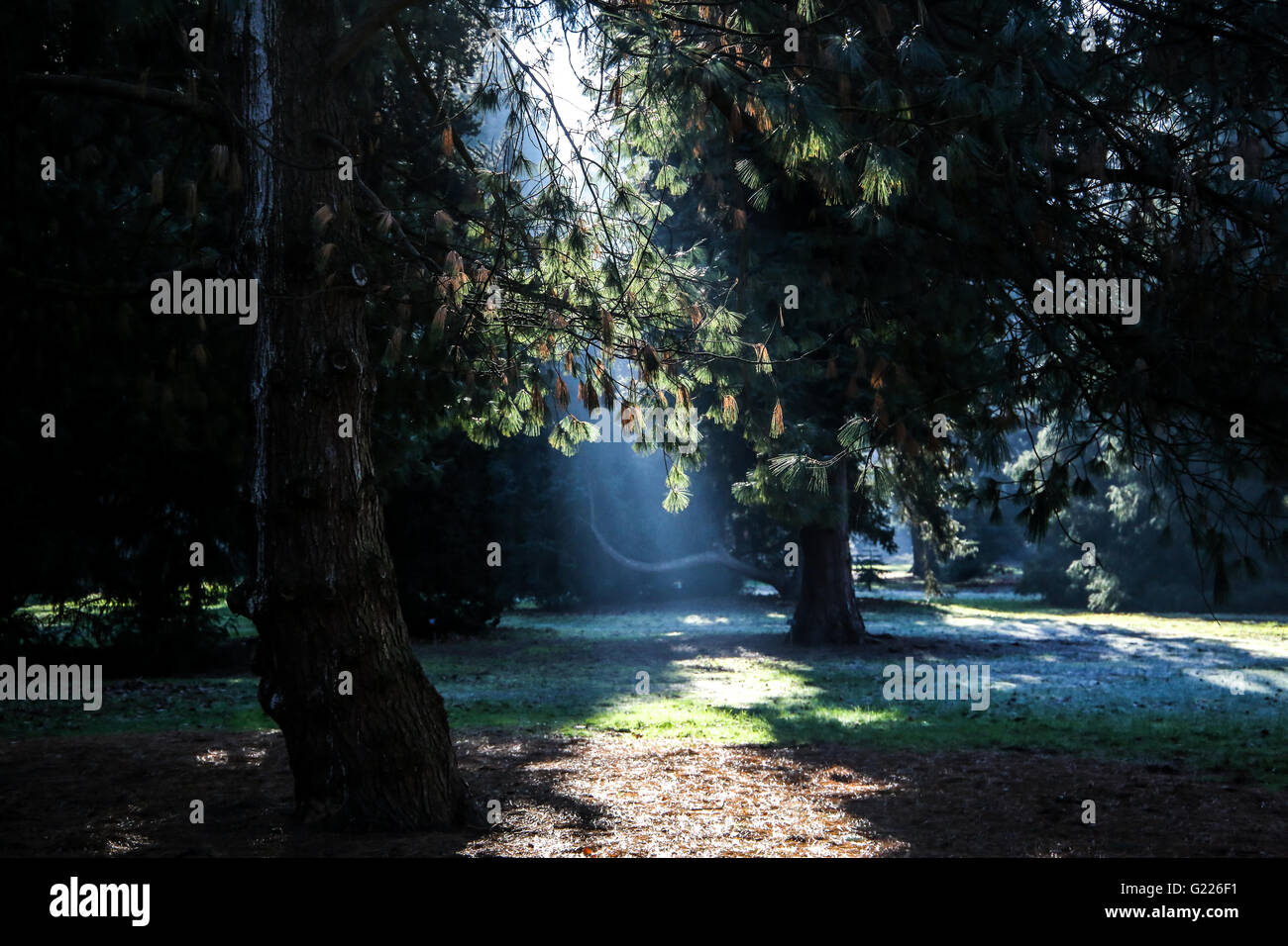 Shaft of light hi-res stock photography and images - Alamy