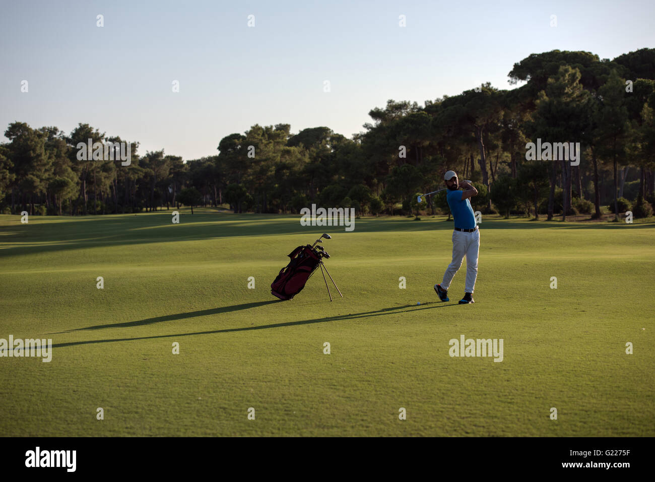golfer hitting long shot with driver on course at beautiful sunset ...