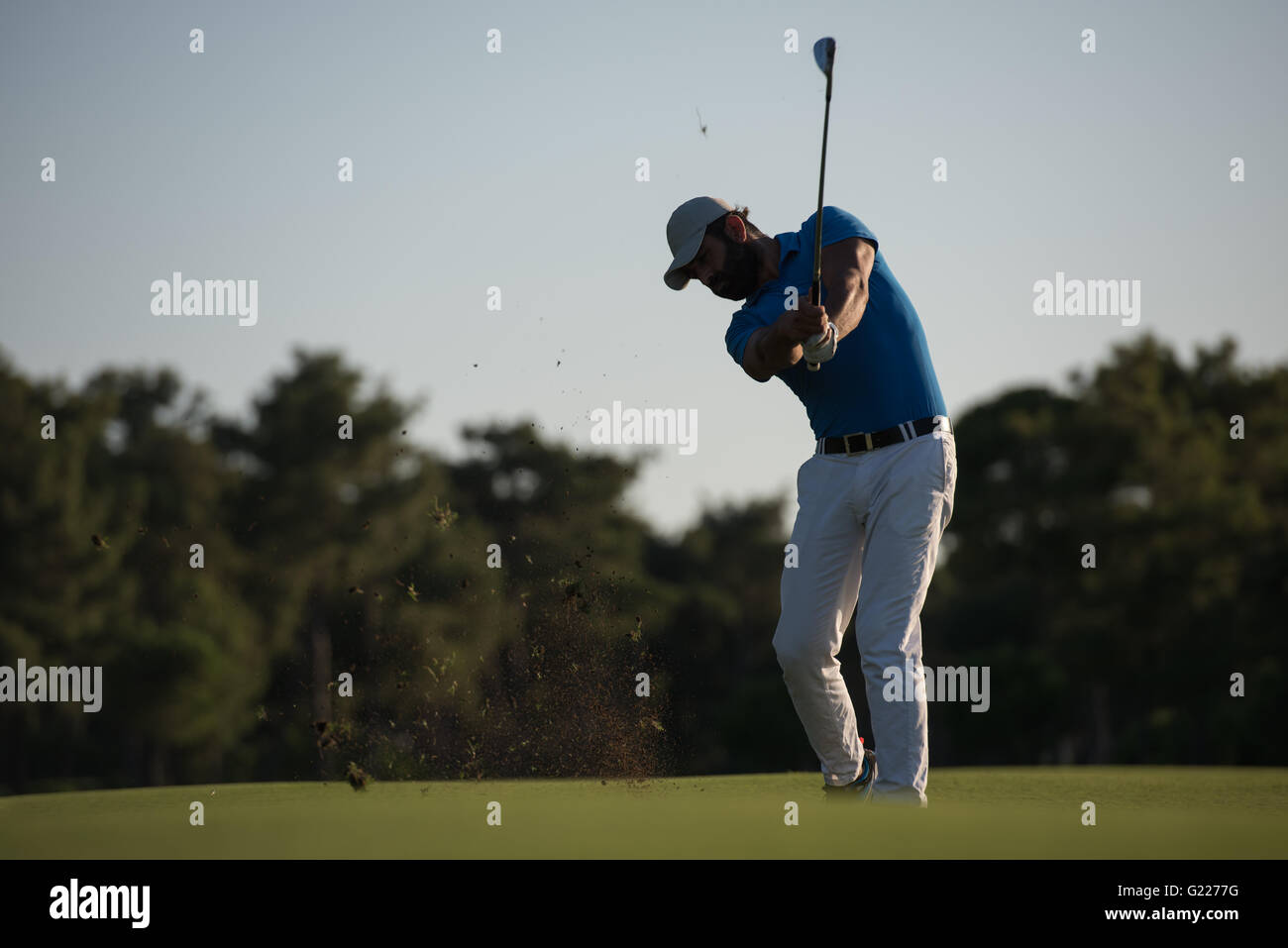 golfer hitting long shot with driver on course at beautiful sunset ...