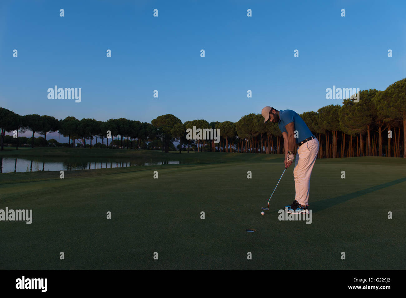 golfer hitting ball shot with driver on golf course at beautiful sunset ...