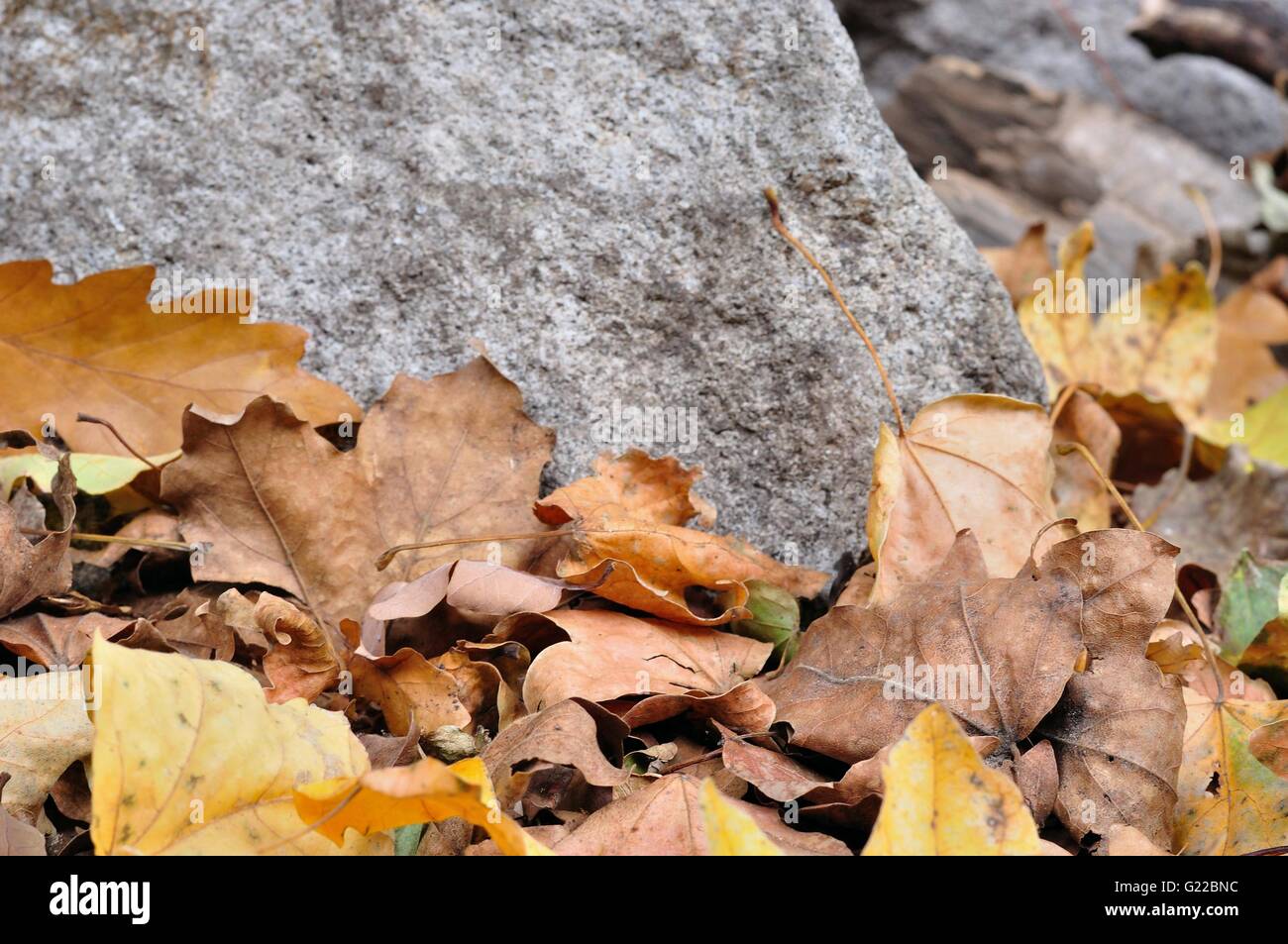 Carpet stone detail floor hi-res stock photography and images - Alamy