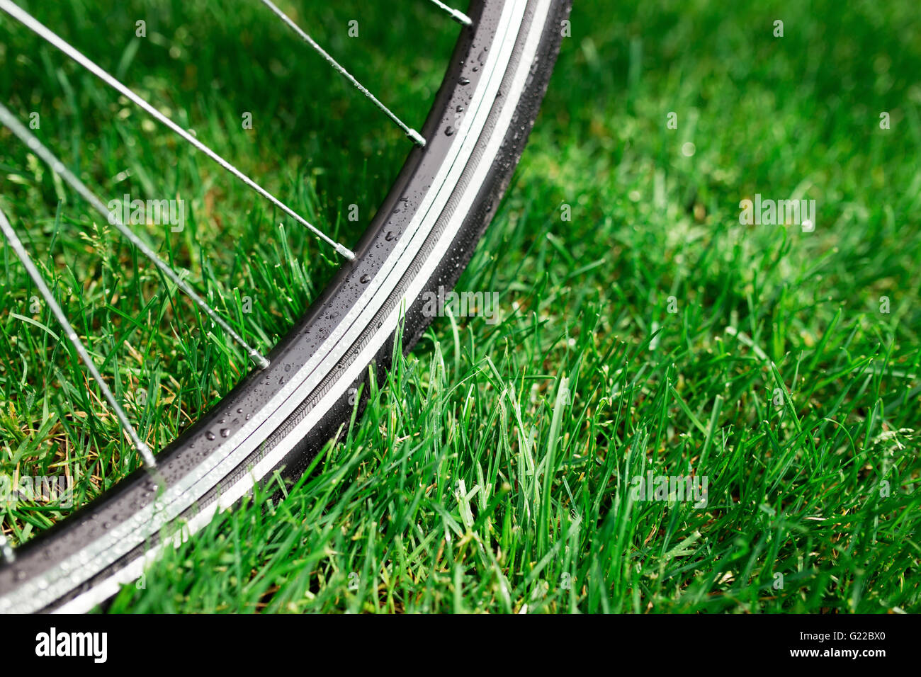 Classic road bicycle wheel close-up photo in the summer green grass ...