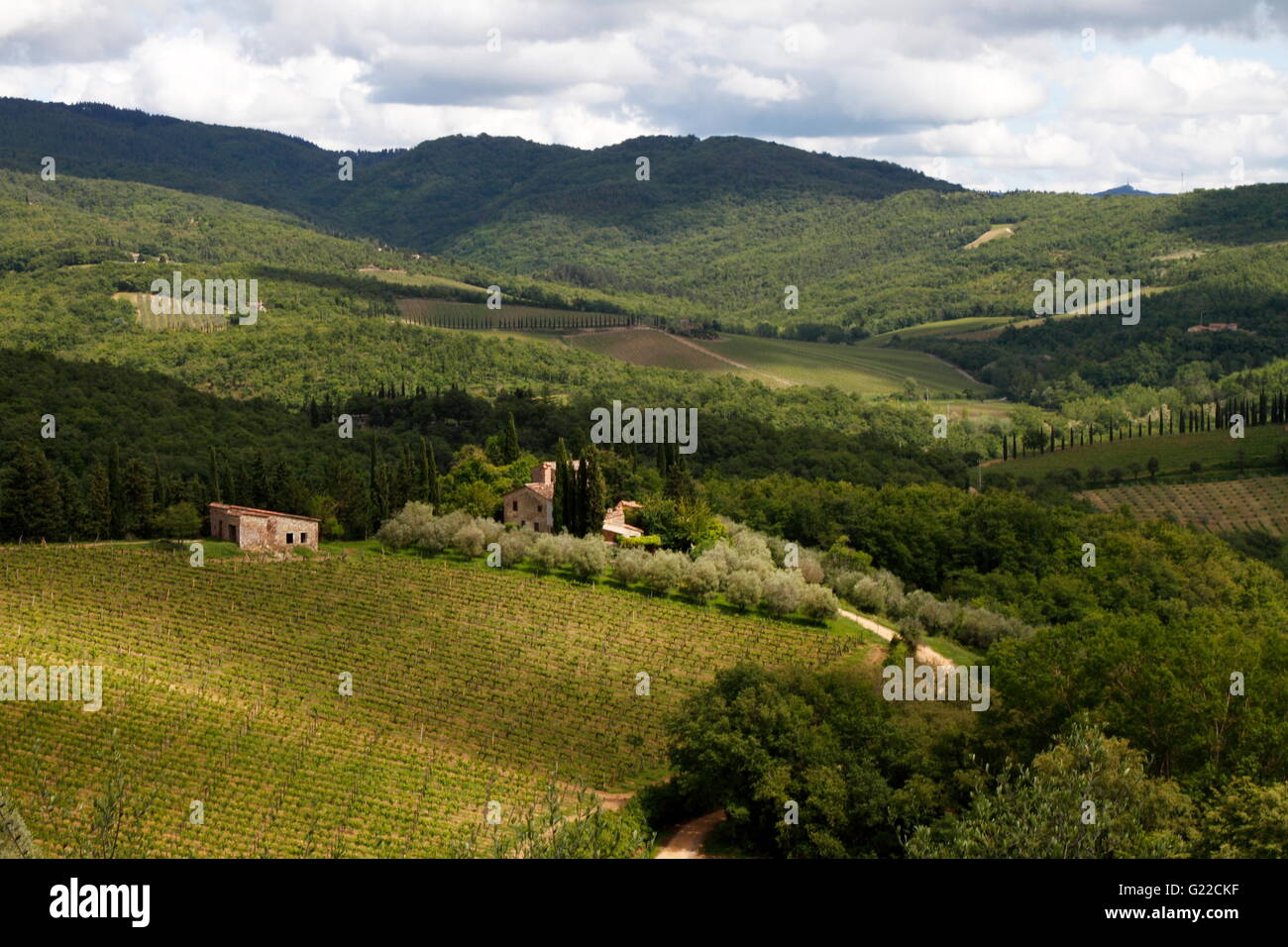 Tuscany landscape, in Chianti Stock Photo - Alamy