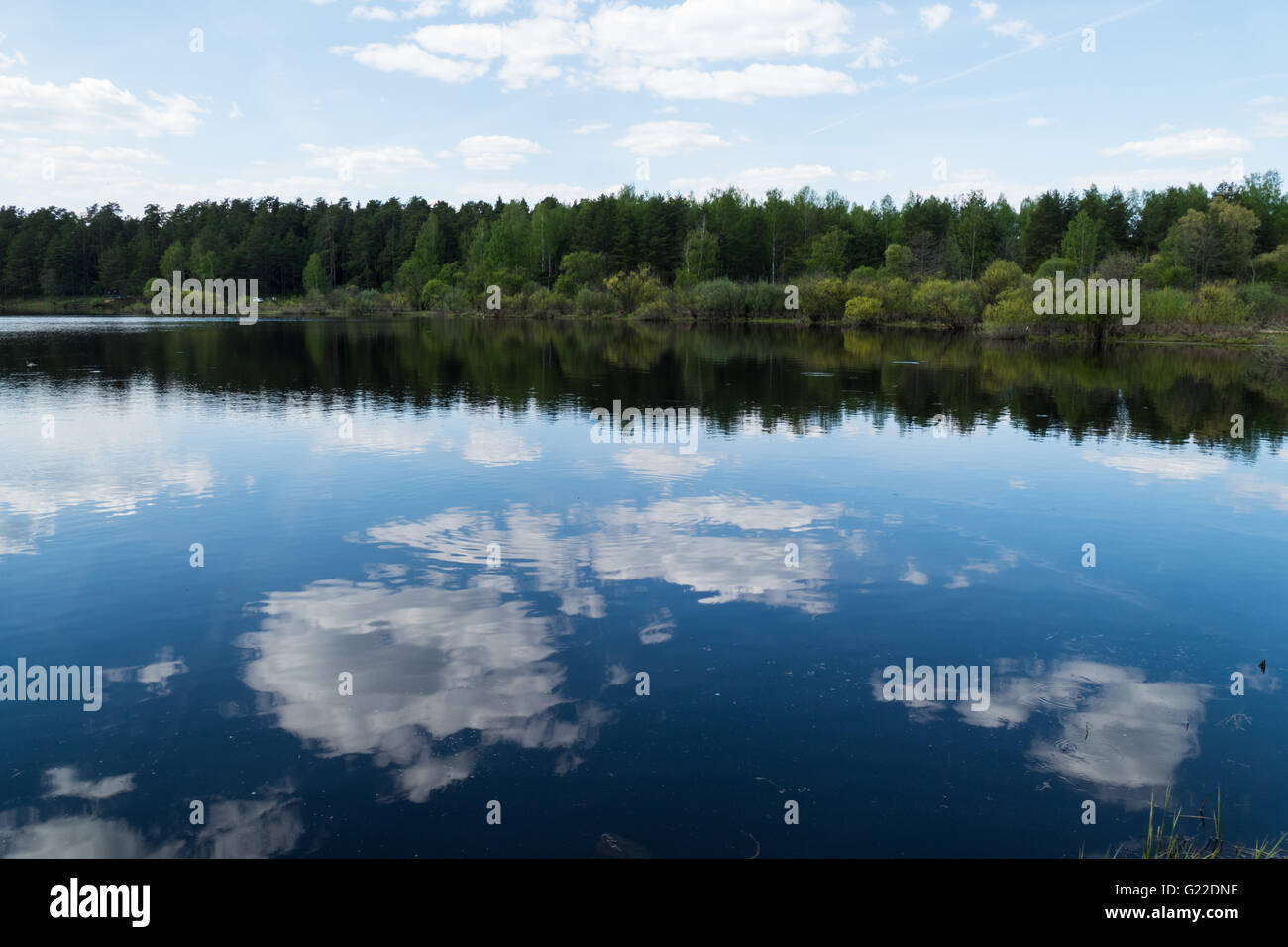 Beautiful lake in spring forest hi-res stock photography and images - Alamy