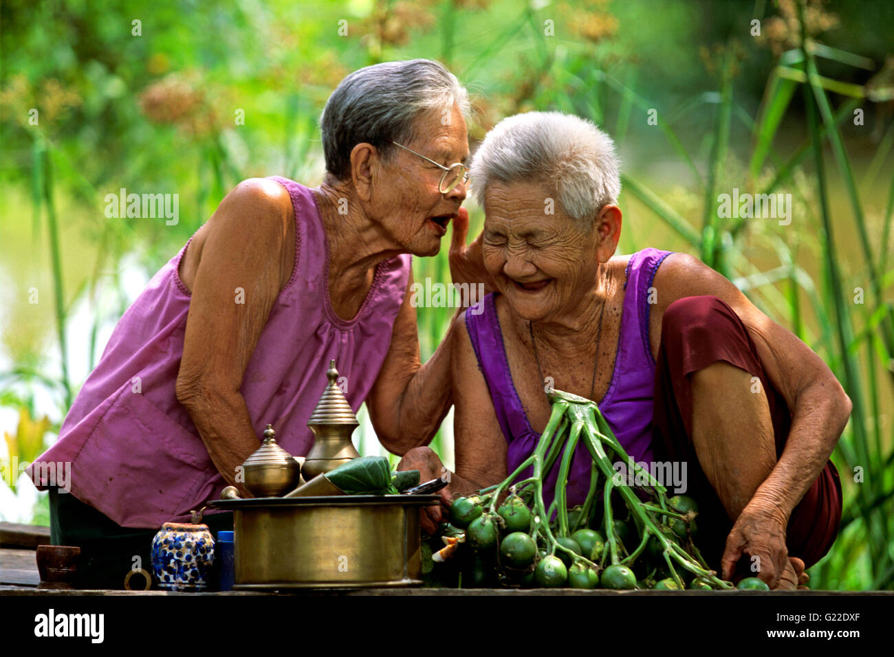 Old Rural Thai Woman Stock Photo - Alamy