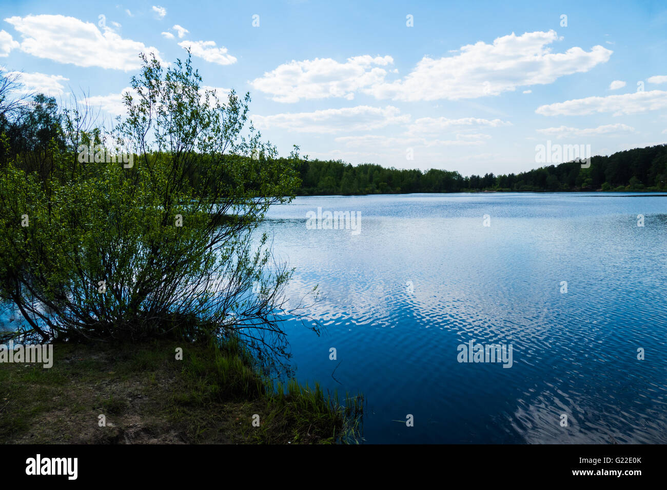 Spring forest and lake hi-res stock photography and images - Alamy