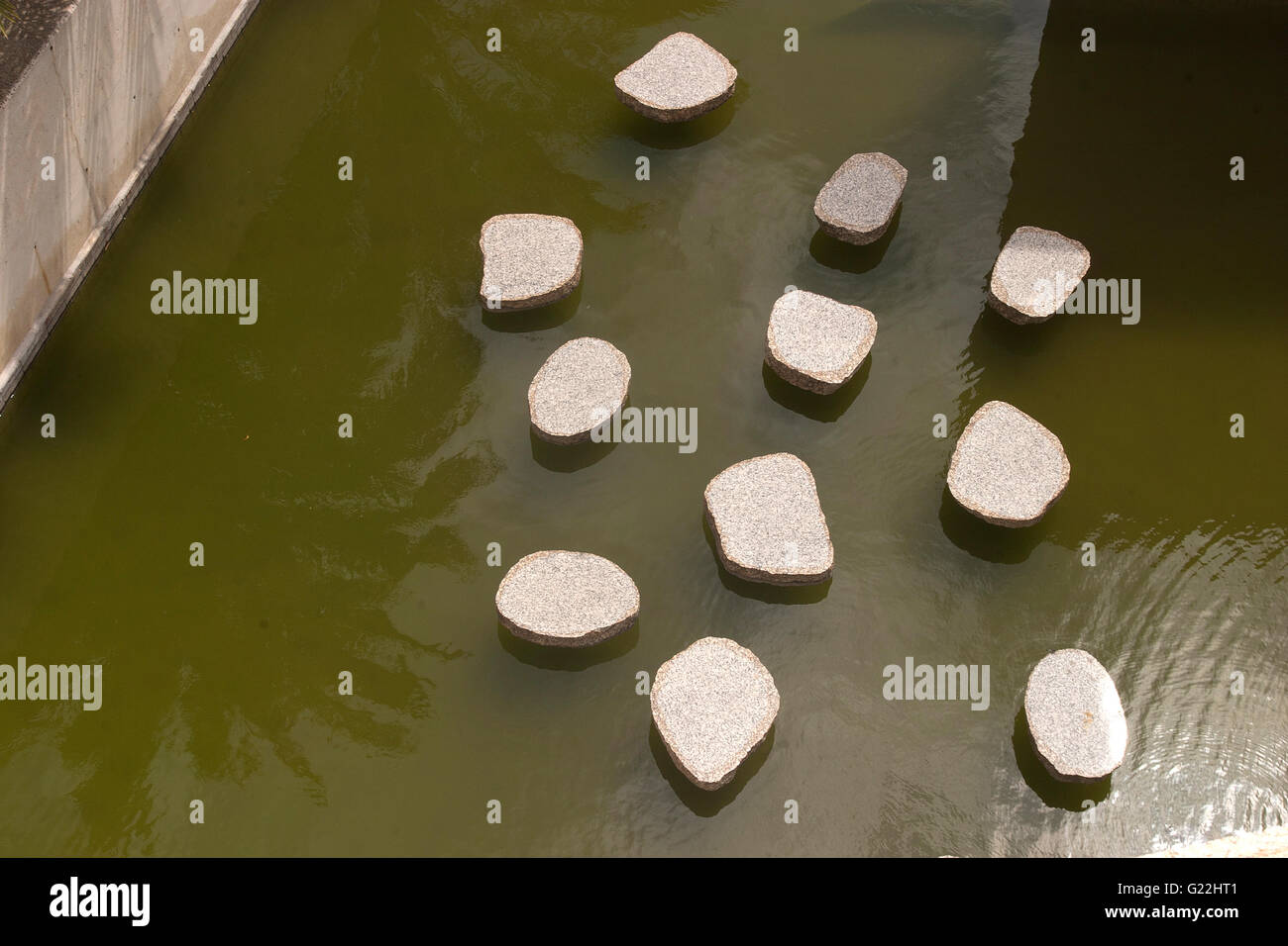 External pond pool detail hi-res stock photography and images - Alamy
