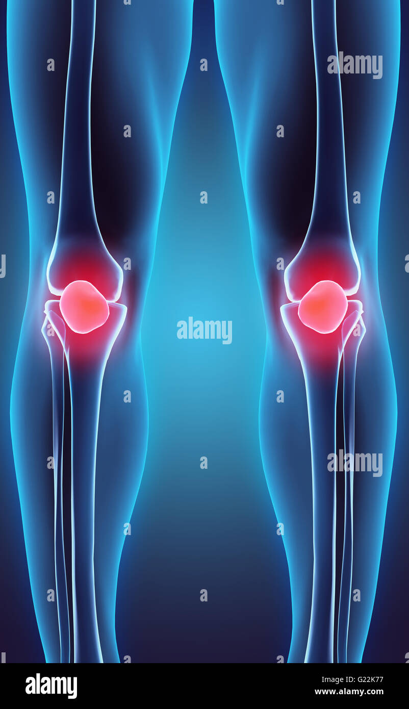 3D illustration of Patella - Part of Human Skeleton Stock Photo - Alamy