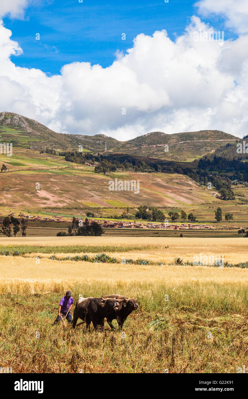 Collective farming hi-res stock photography and images - Alamy