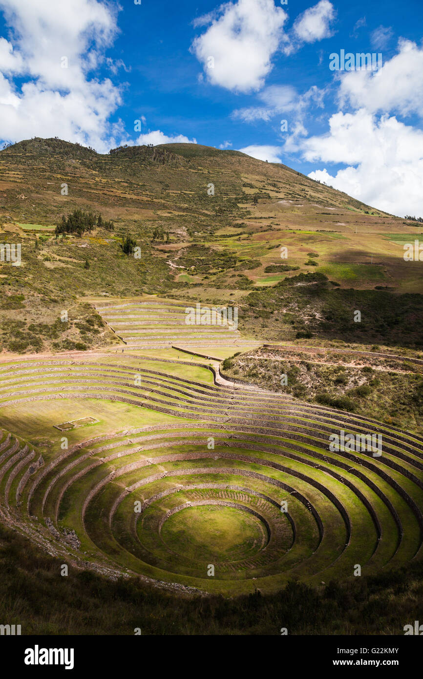 Incan agricultural terraces at Moray, Peru Stock Photo - Alamy