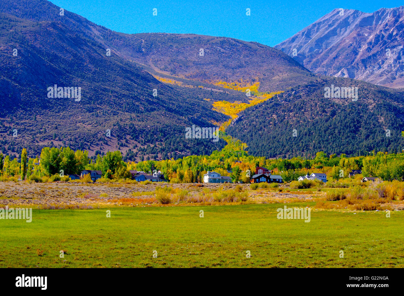 Fall picture Eastern Sierra,California Stock Photo - Alamy