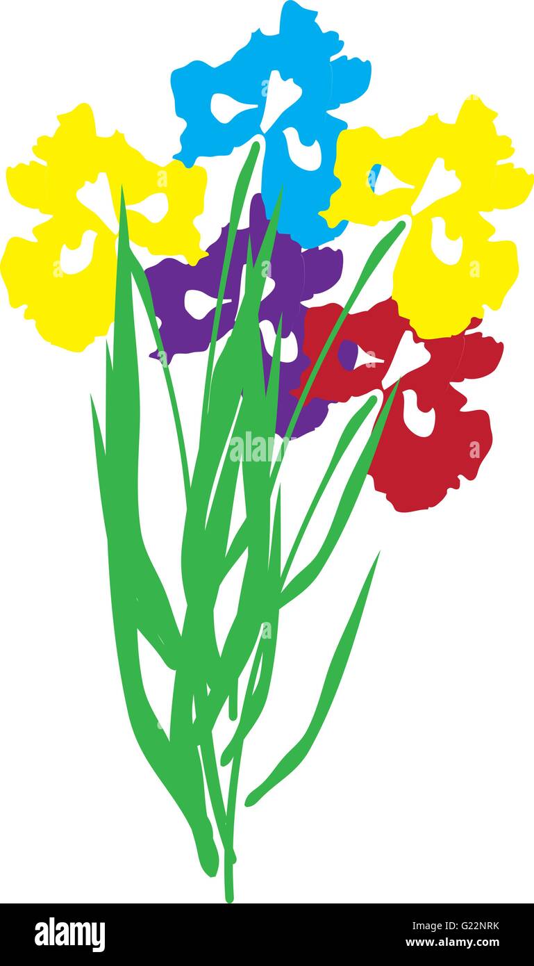 Vector blue iris floral Cut Out Stock Images & Pictures - Alamy