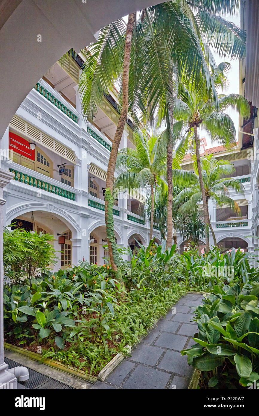 Raffles palm hi-res stock photography and images - Alamy