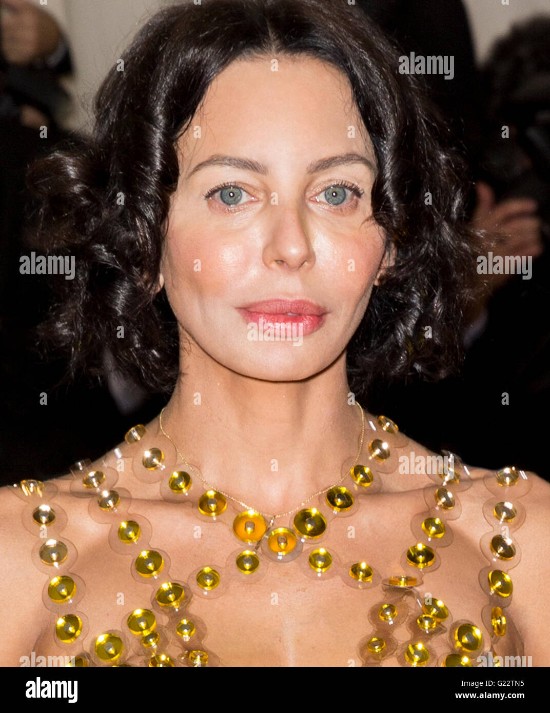 New York City, USA - May 2, 2016: Lisa Maria Falcone attends the 2016 ...