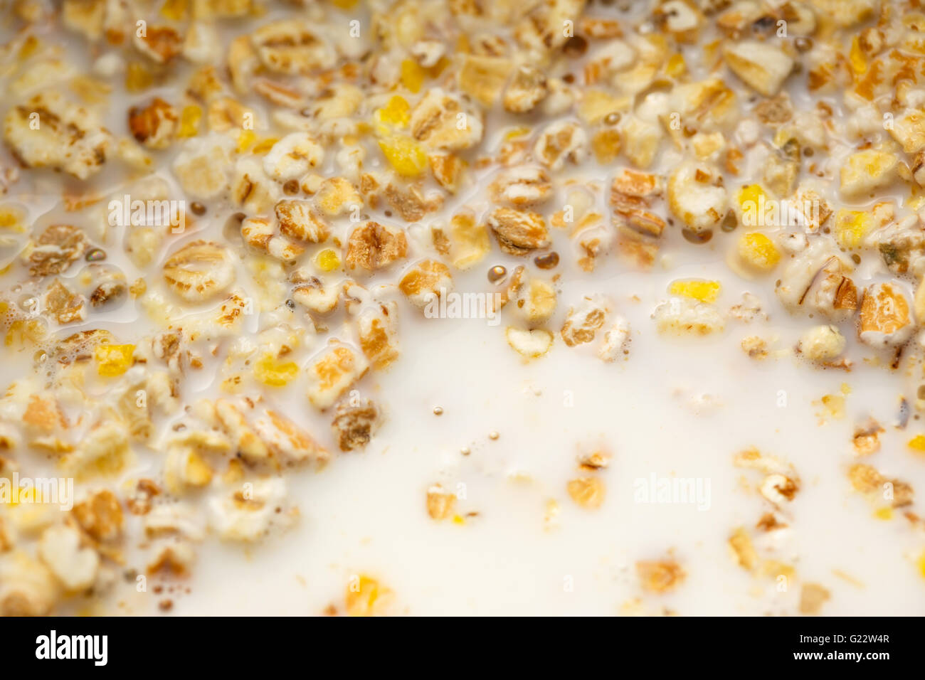 Corn porridge milk hi-res stock photography and images - Alamy