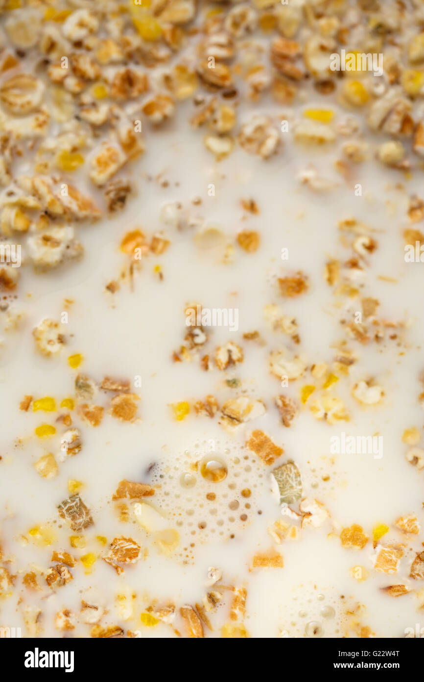 Healthy fresh porridge boiling in milk closeup Stock Photo - Alamy