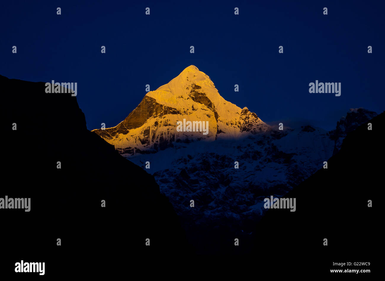 Neelkanth hi-res stock photography and images - Alamy