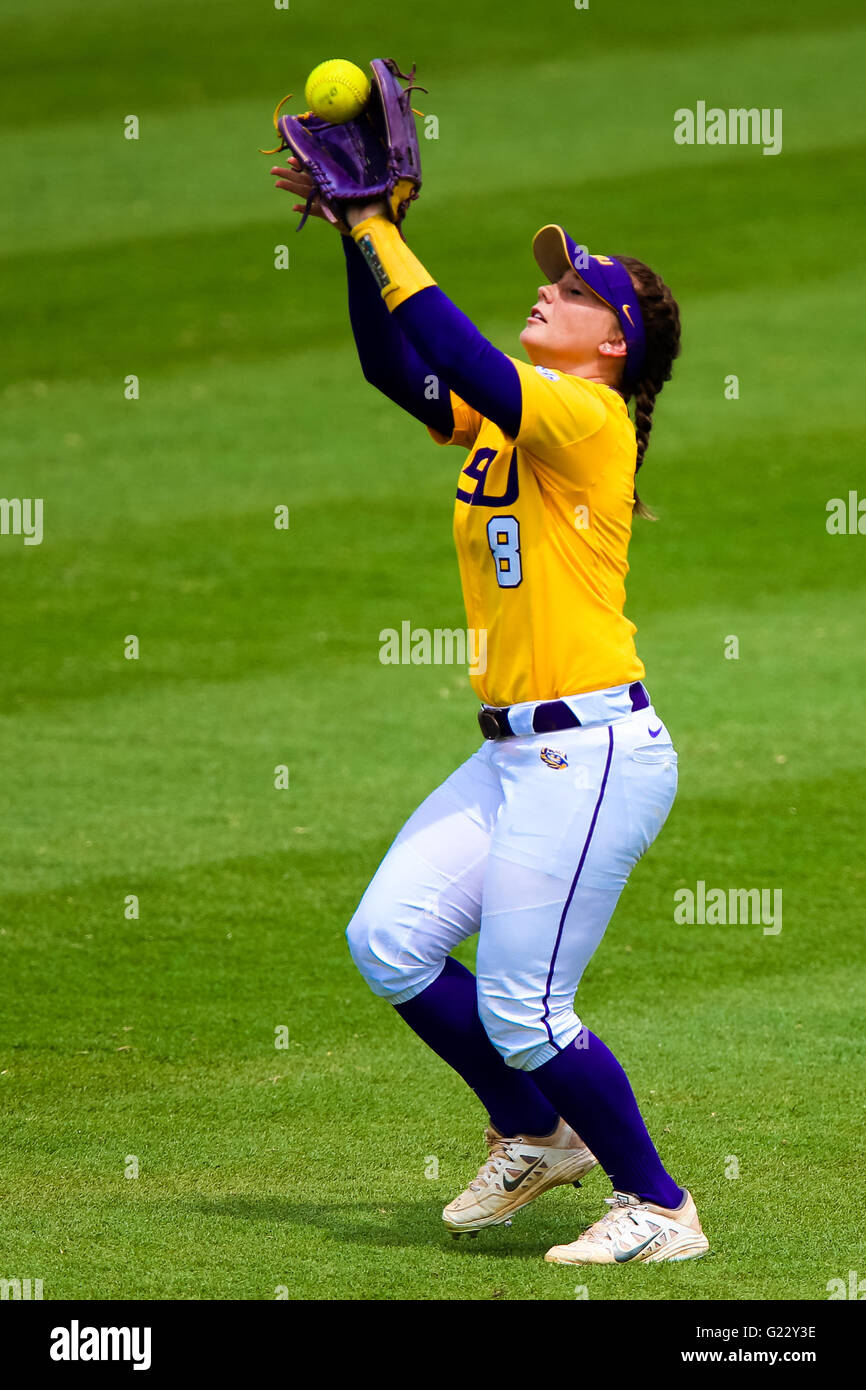 Tiger park new orleans hi-res stock photography and images - Alamy