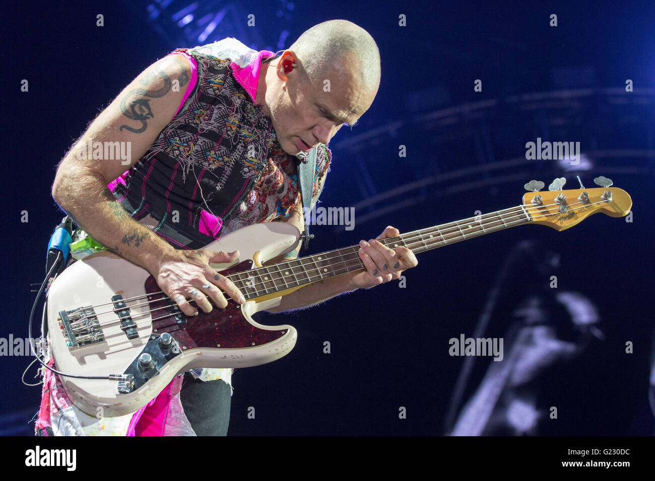 Red hot chili peppers bassist flea hi-res stock photography and images ...
