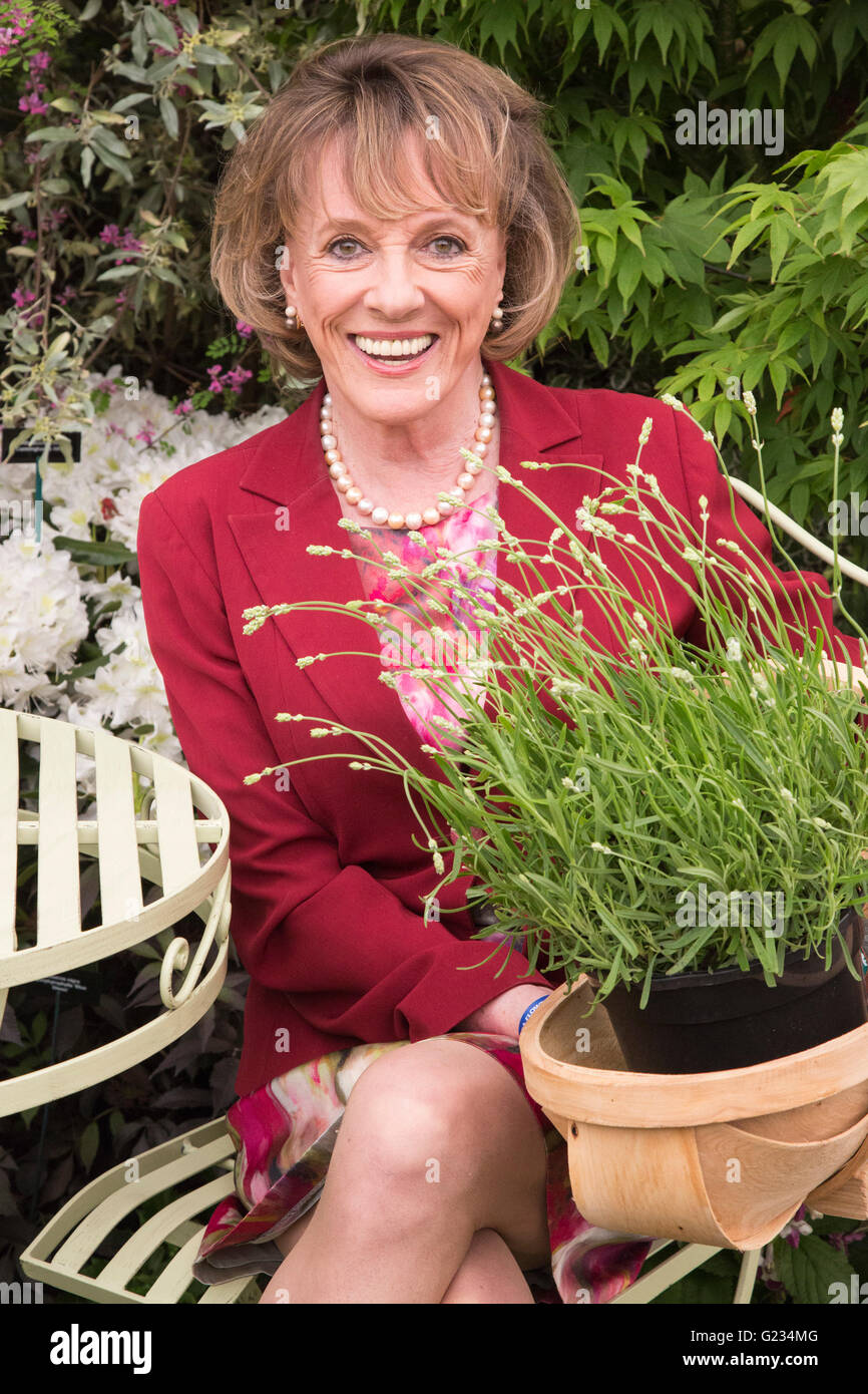 Esther rantzen hi-res stock photography and images - Alamy