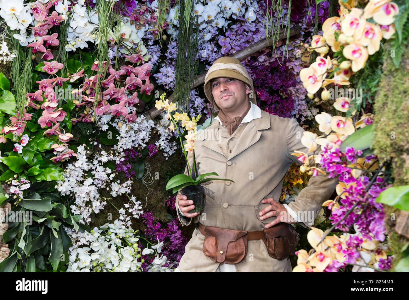 Victorian orchids hi-res stock photography and images - Alamy