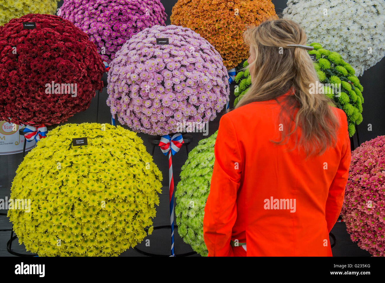 London, UK. 23rd May, 2016. The owner of Wacky Suits with the flowers ...