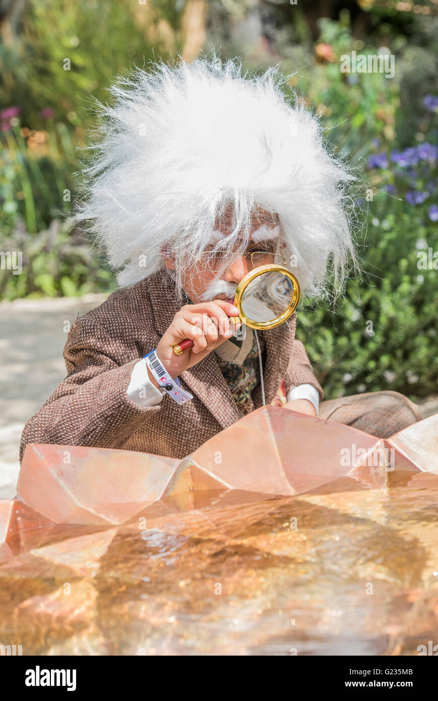 Mini einsteins hi-res stock photography and images - Alamy