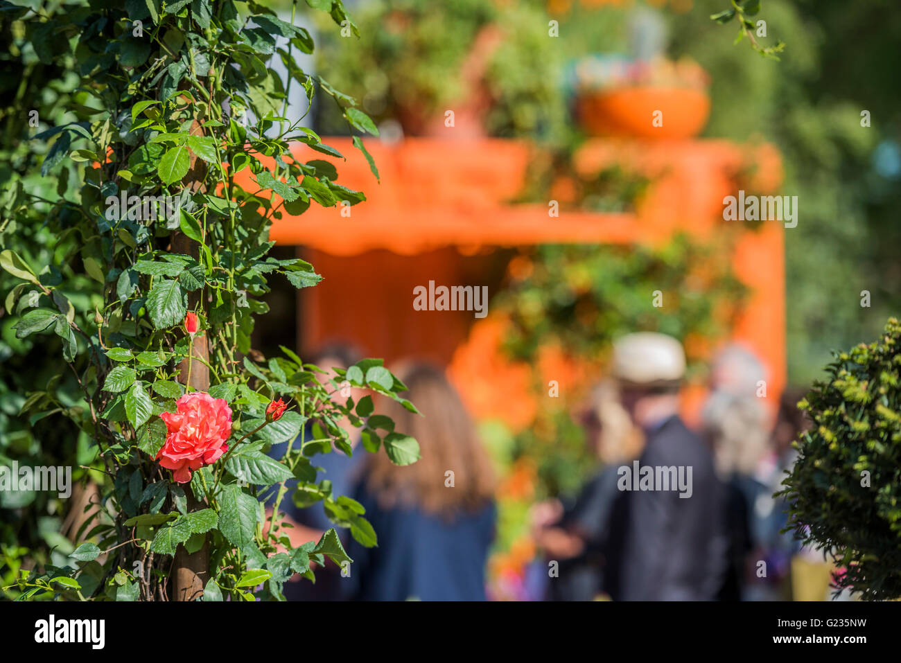 Grey britain hi-res stock photography and images - Alamy