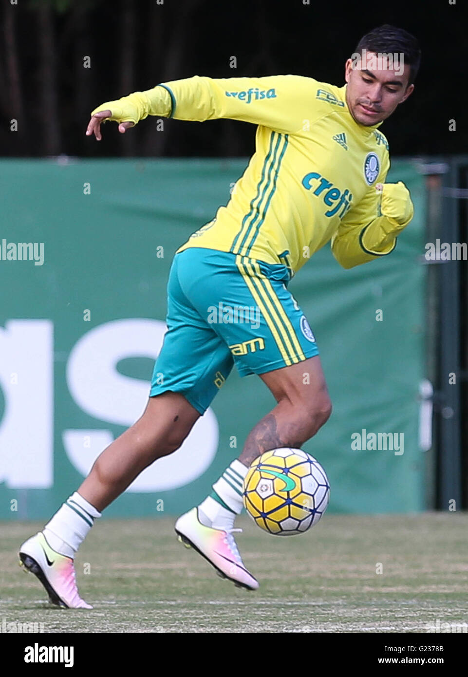Sao Paulo, Brazil. 23rd May, 2016. TRAINING OF PALM TREES - Dudu player ...