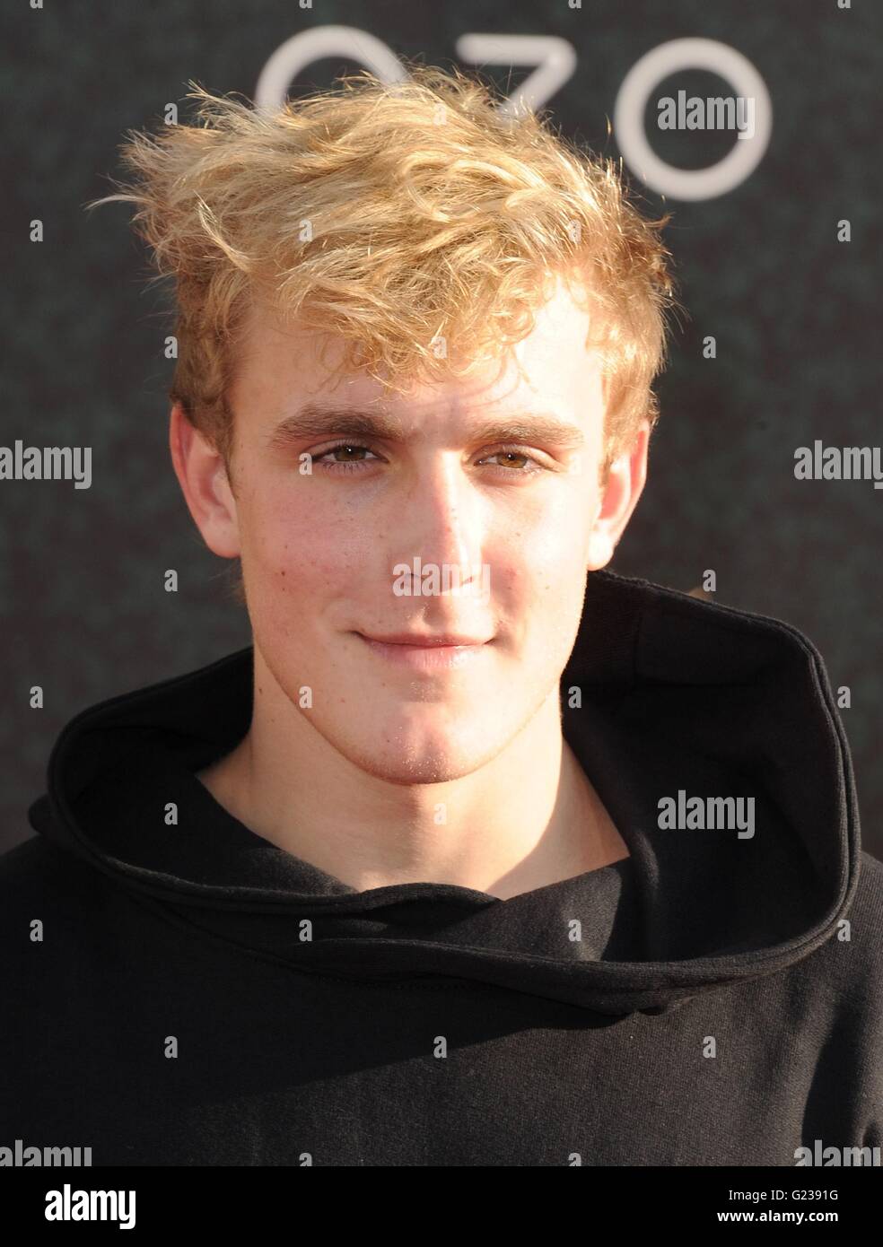 Los Angeles, CA, USA. 23rd May, 2016. Jake Paul at arrivals for ALICE ...