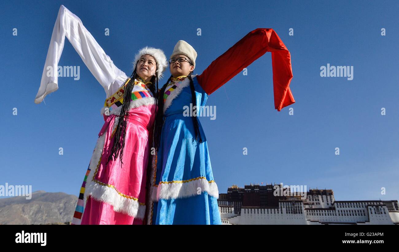 Tourists at potala palace in lhasa tibet hi-res stock photography and ...