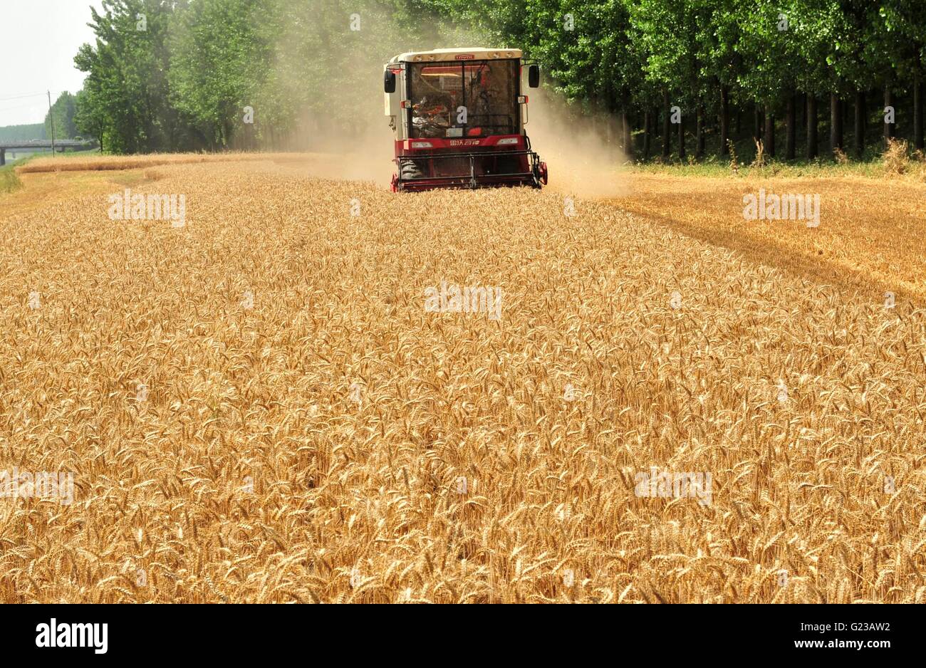 Zhumadian hi-res stock photography and images - Alamy