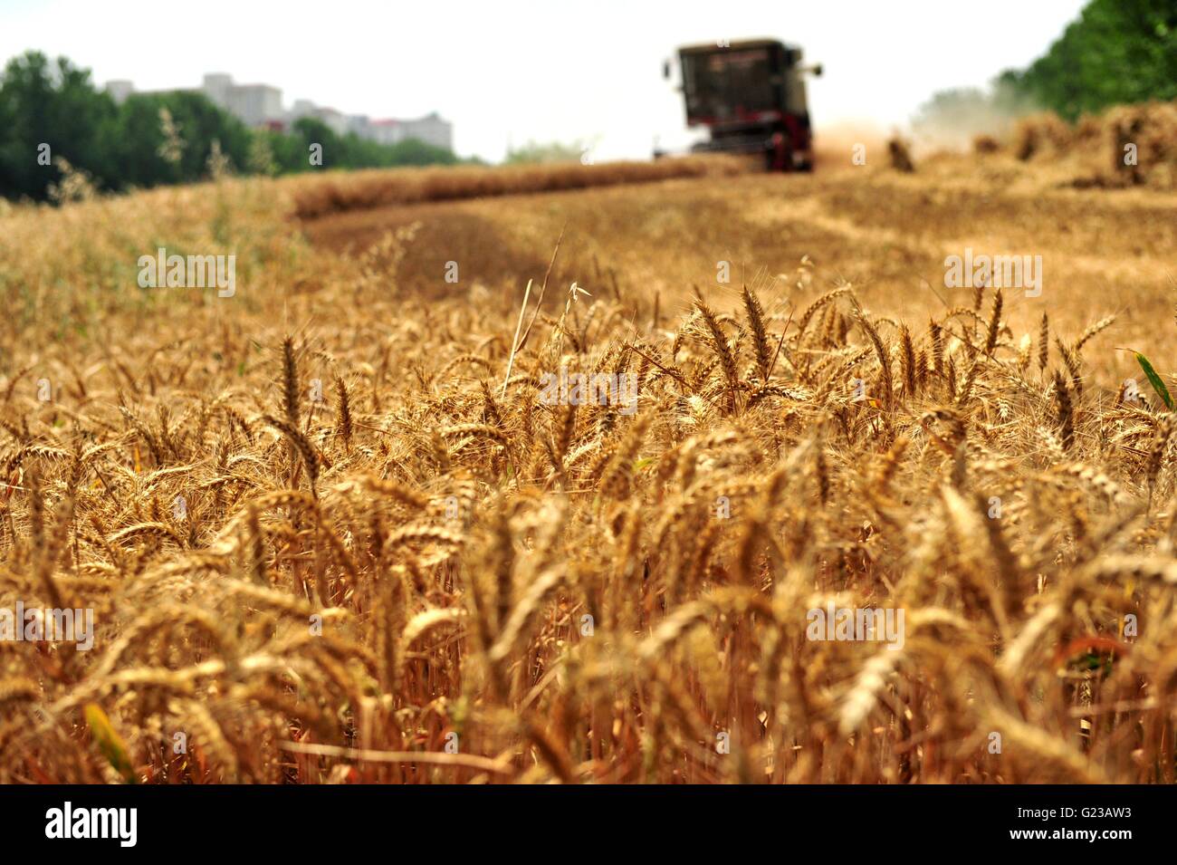 Zhumadian hi-res stock photography and images - Alamy