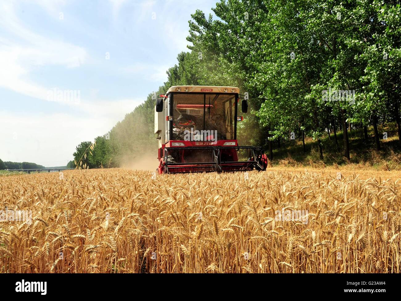 Zhumadian hi-res stock photography and images - Alamy