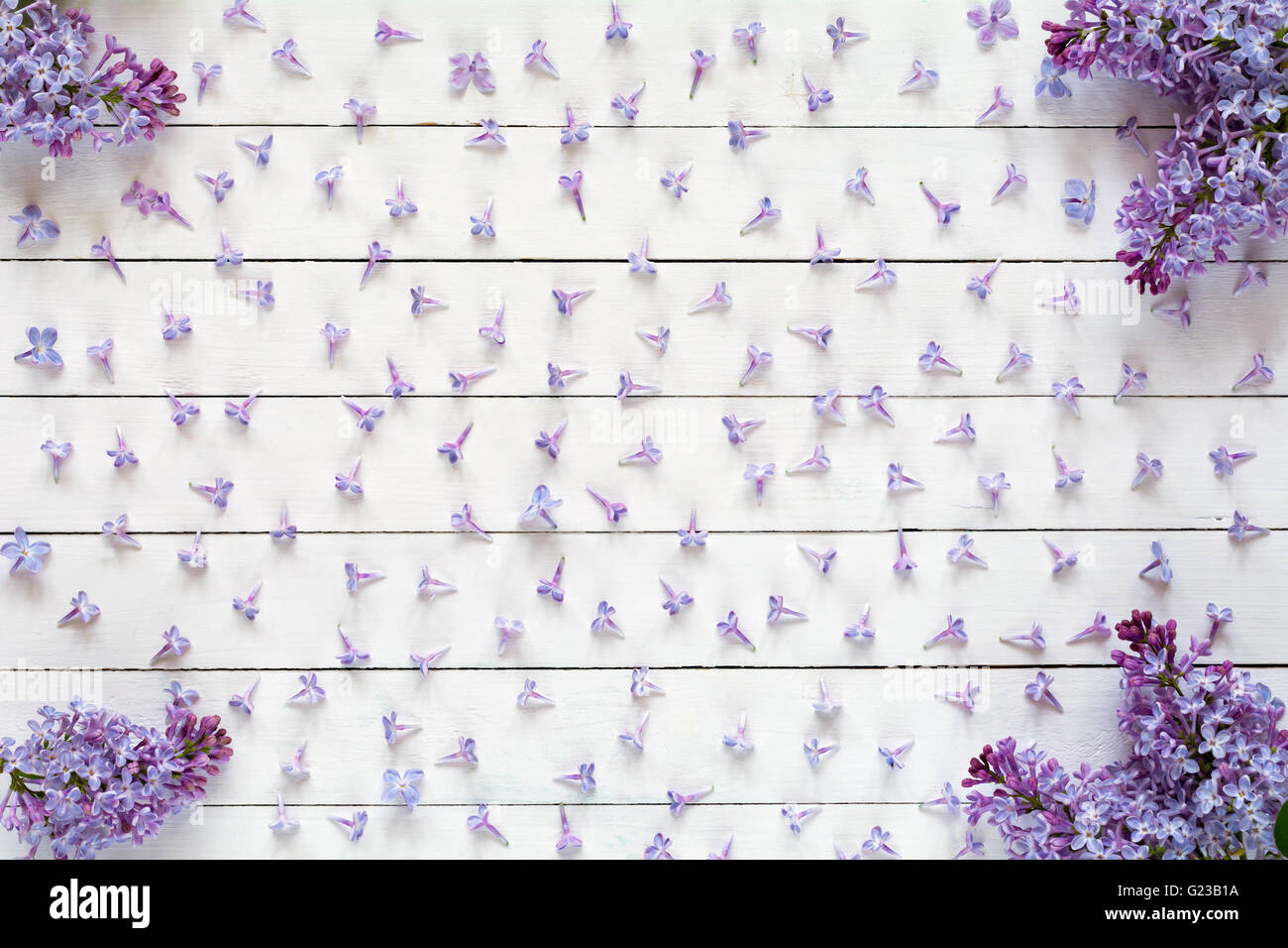 Lilac flowers pattern on white wooden background. Flat lay of purple ...