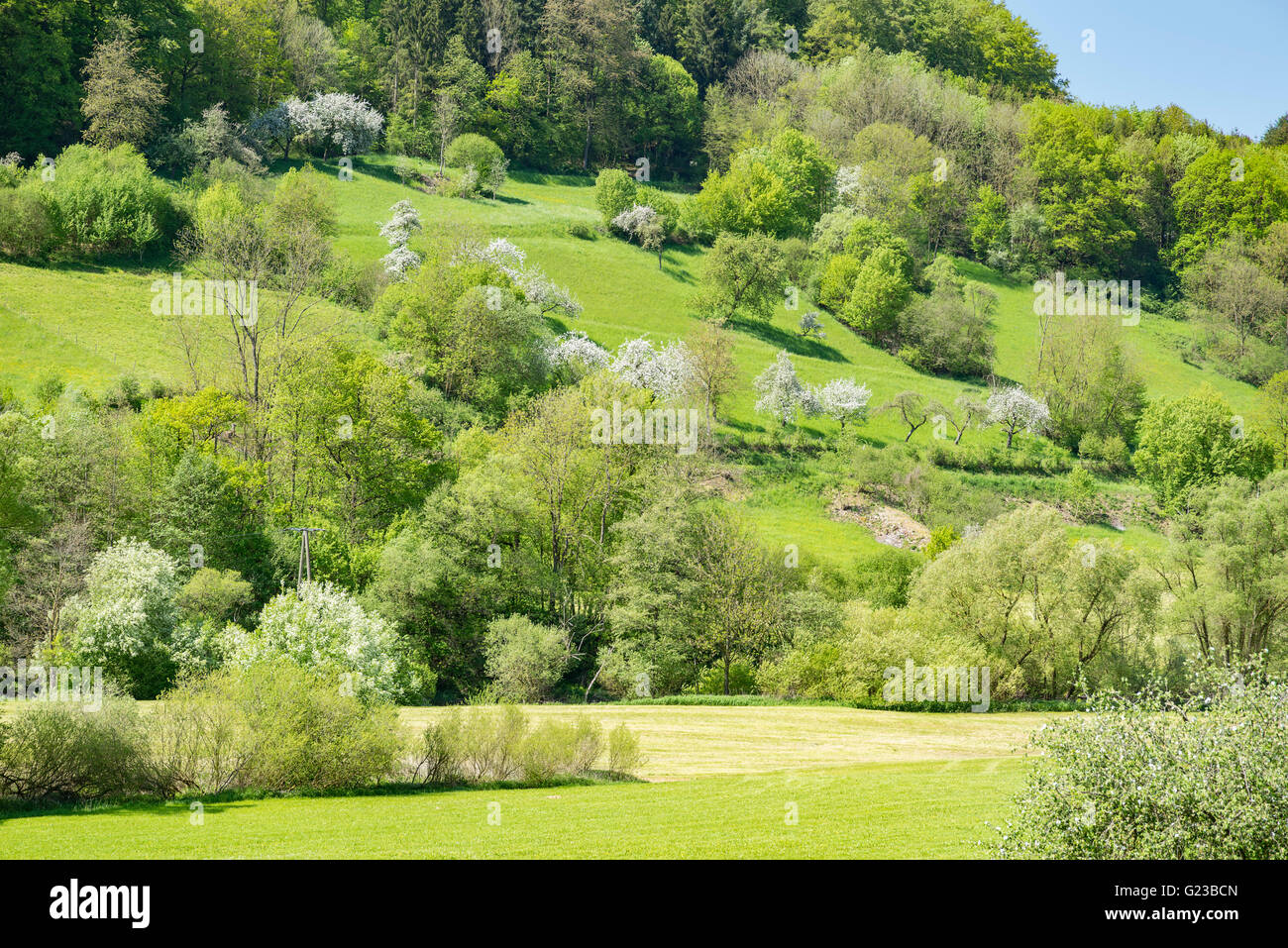 sunny illuminated idyllic rural springtime scenery in Hohenlohe, a ...