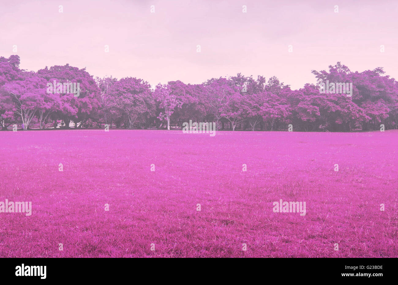 beautiful colors of nature Stock Photo - Alamy