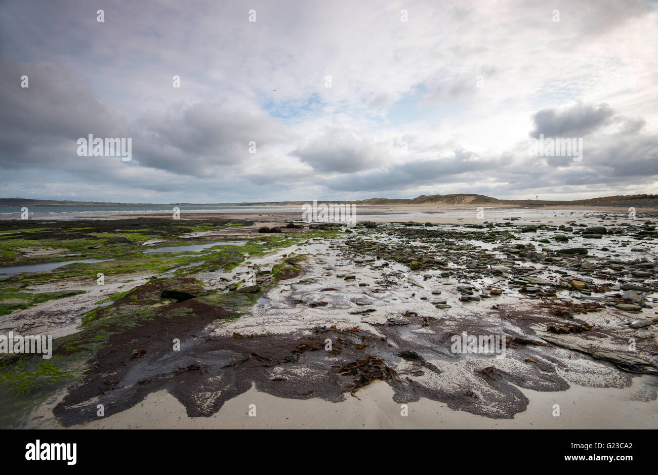 Thurso beach hi-res stock photography and images - Alamy