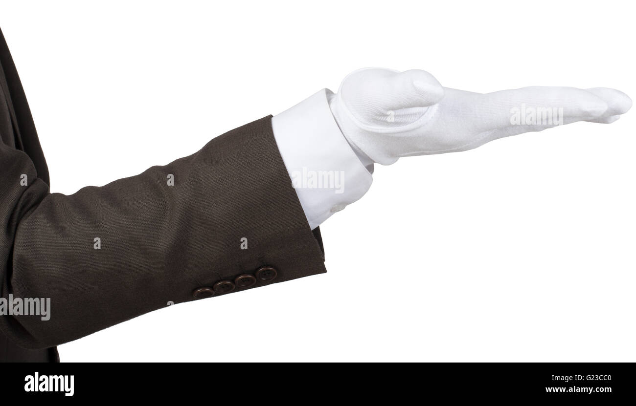 Elegant human hand presenting your text or product Stock Photo - Alamy