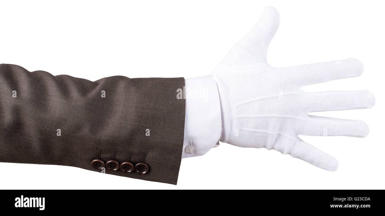 Elegant human hand Stock Photo - Alamy