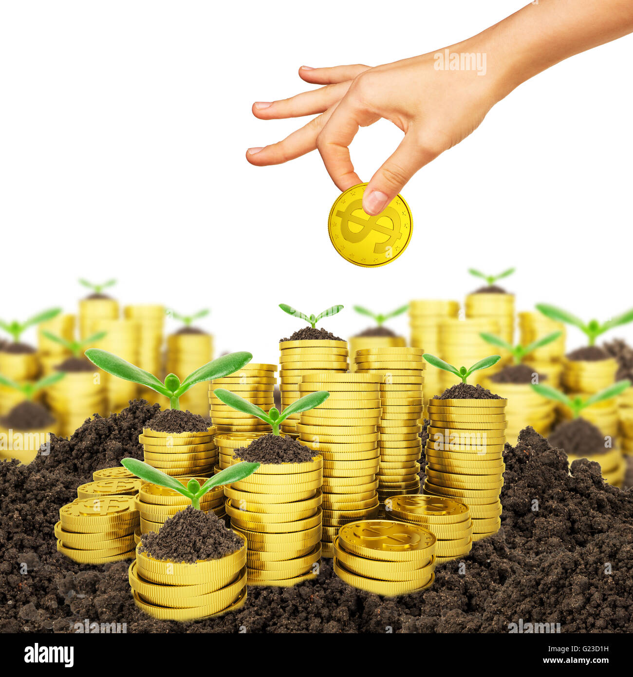 Trees growing on stack of coins Stock Photo - Alamy