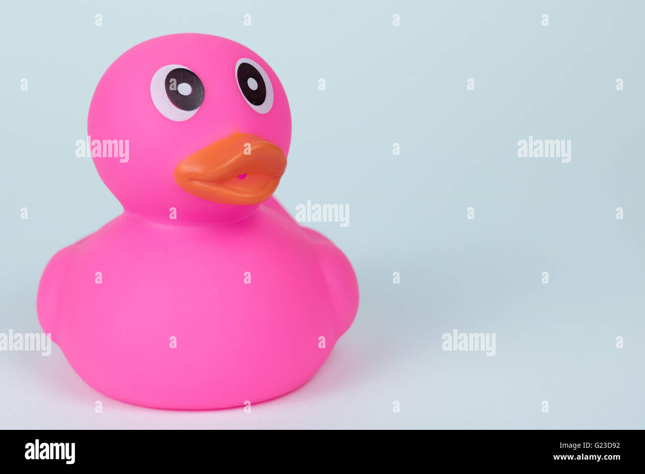 Bright pink rubber duck Stock Photo - Alamy