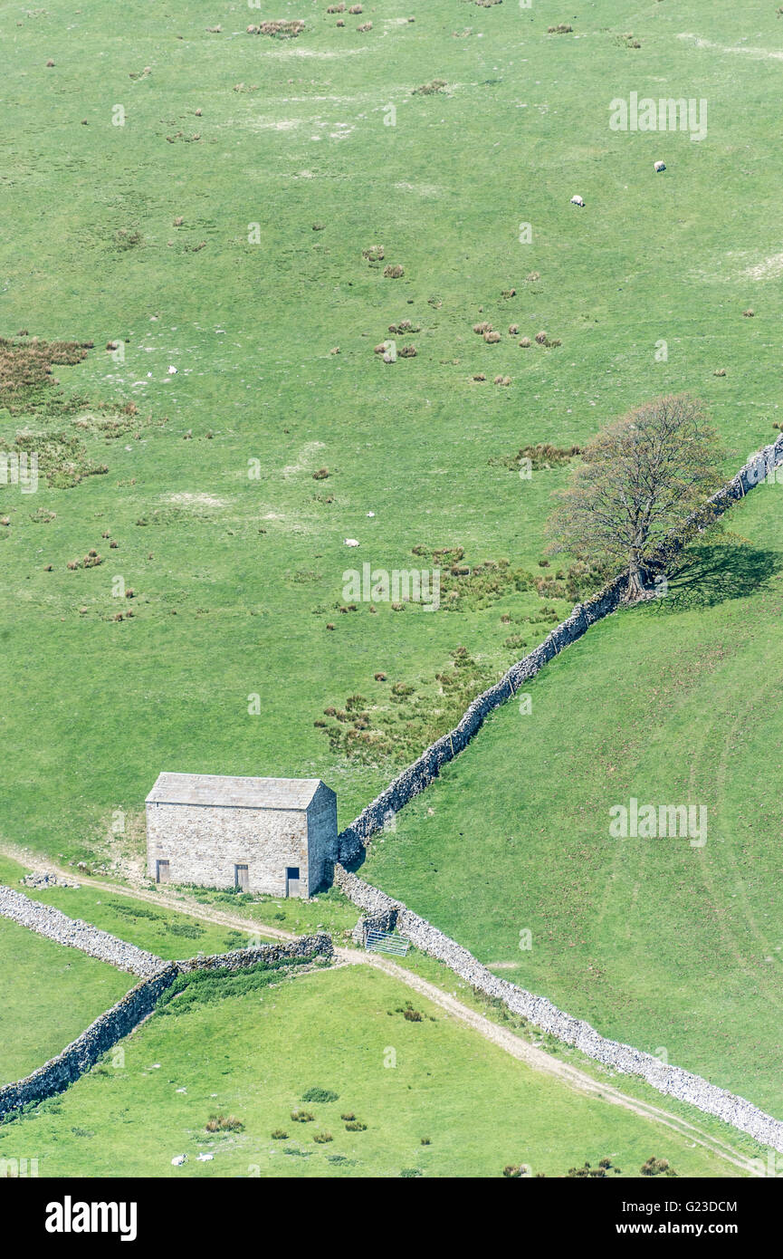 Field, wall and barn structures in Swaledale Stock Photo - Alamy